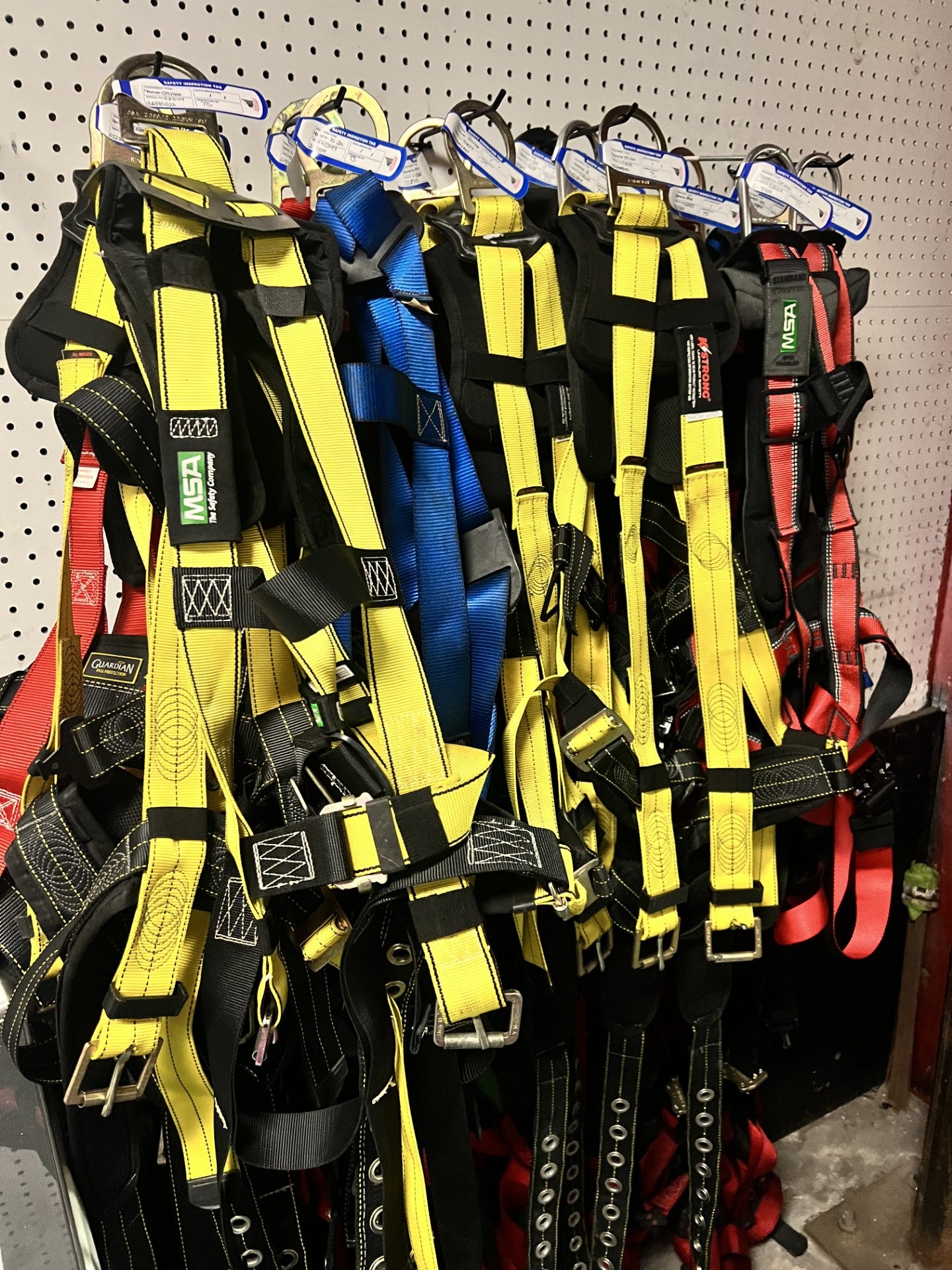 Harnesses – Clean Coast Supply